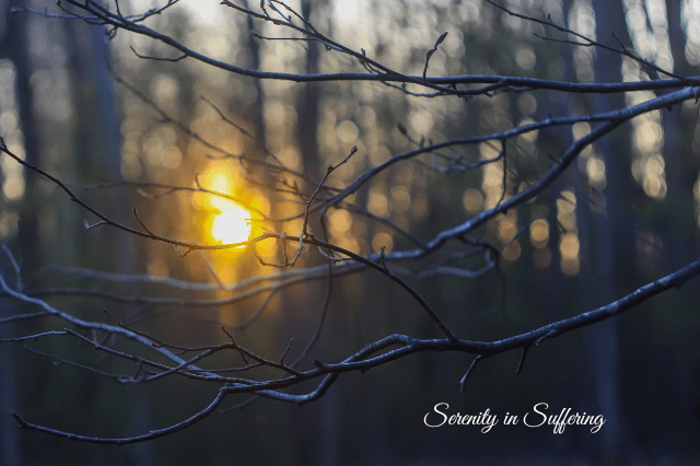 Advent's Invitation to Stillness - Serenity in Suffering