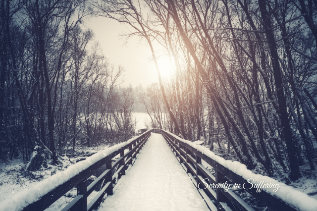 Embracing an Uncertain Future - Serenity in Suffering