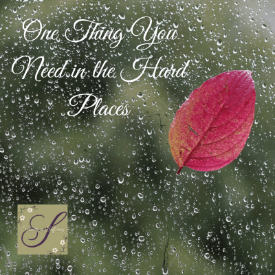 The One Thing You Need - Serenity in Suffering