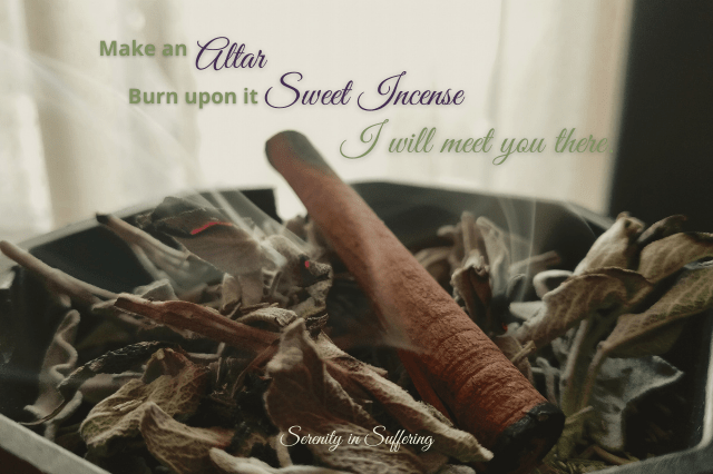 Experiencing the Divine Fragrance of God - Serenity in Suffering