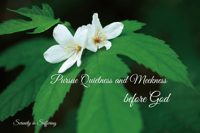 In Quietness and Trust We Find Strength - Serenity in Suffering
